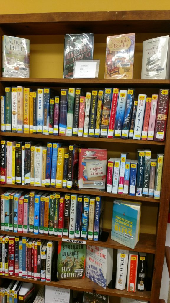 New Books – Welcome to the Fair Haven Public Library